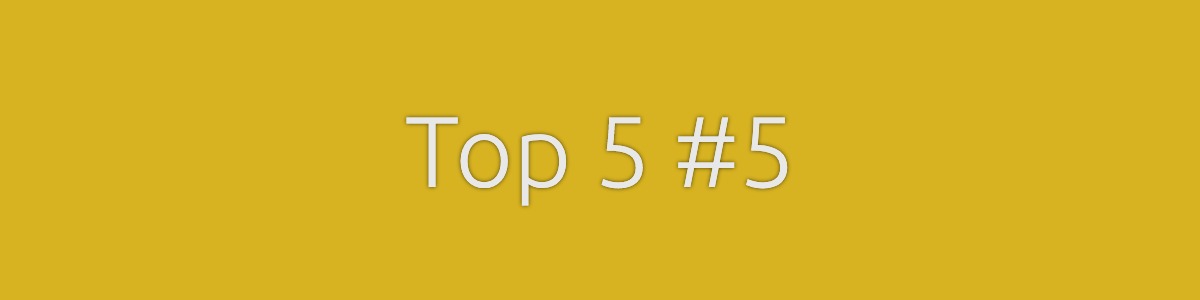 Top 5 Quiz #5 | The Pub Quiz Bros | Ready Made Pub Quizzes